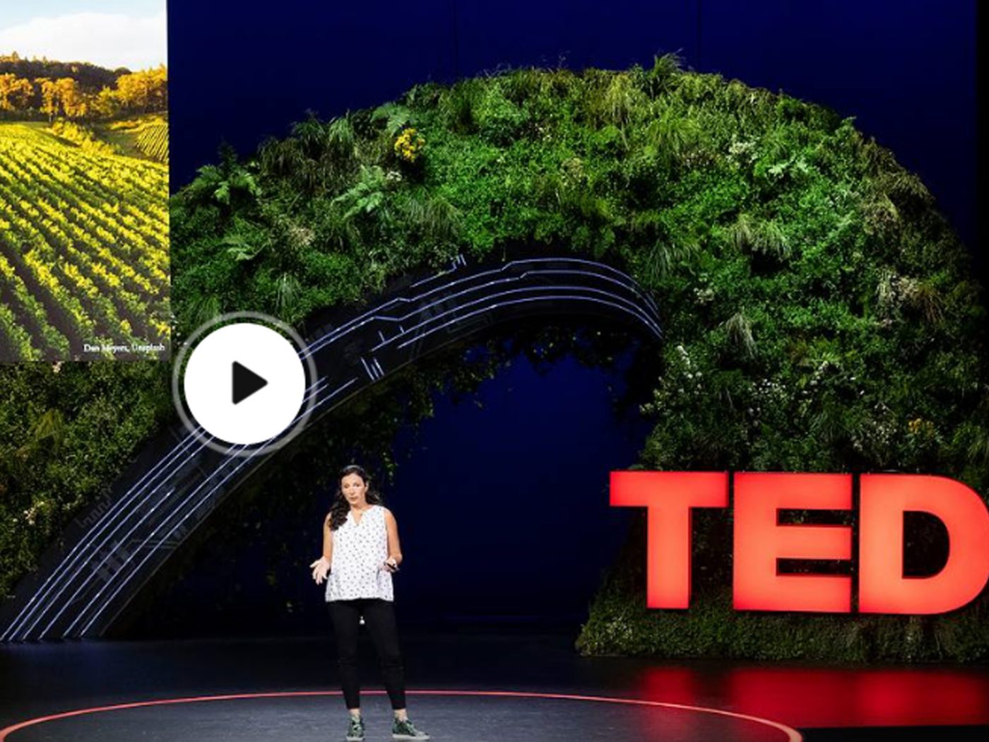 The hidden power of soil to combat the climate crisis | Global Goals