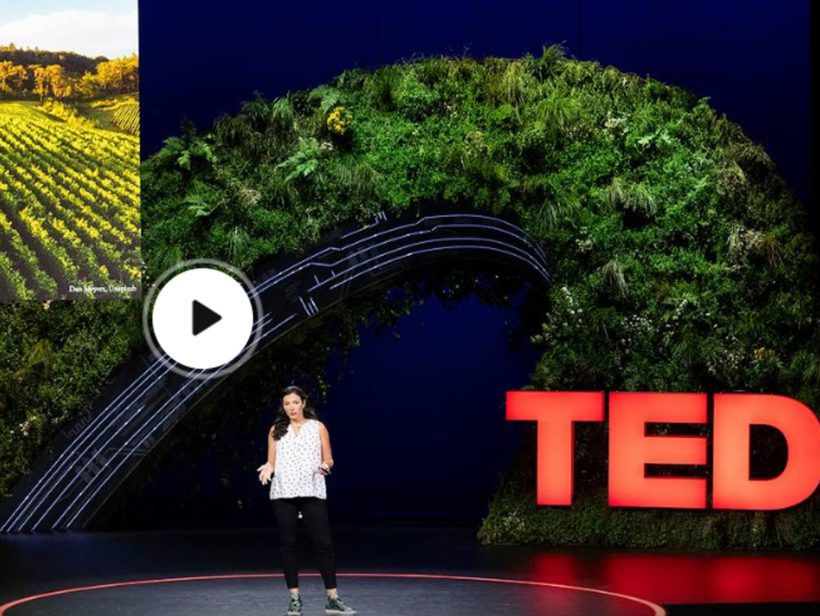 The hidden power of soil to combat the climate crisis | Global Goals